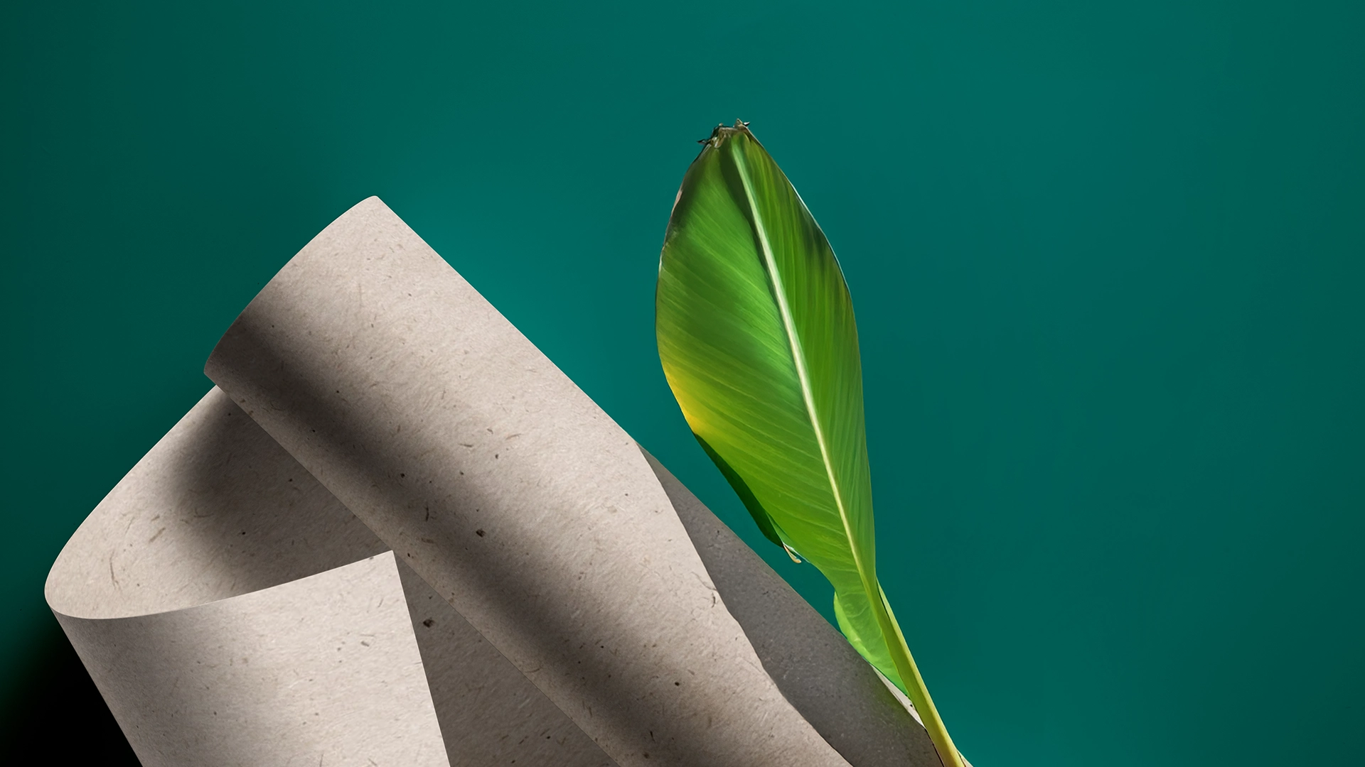 Linen Paper | Eco-Friendly Handmade Tree-Free Paper