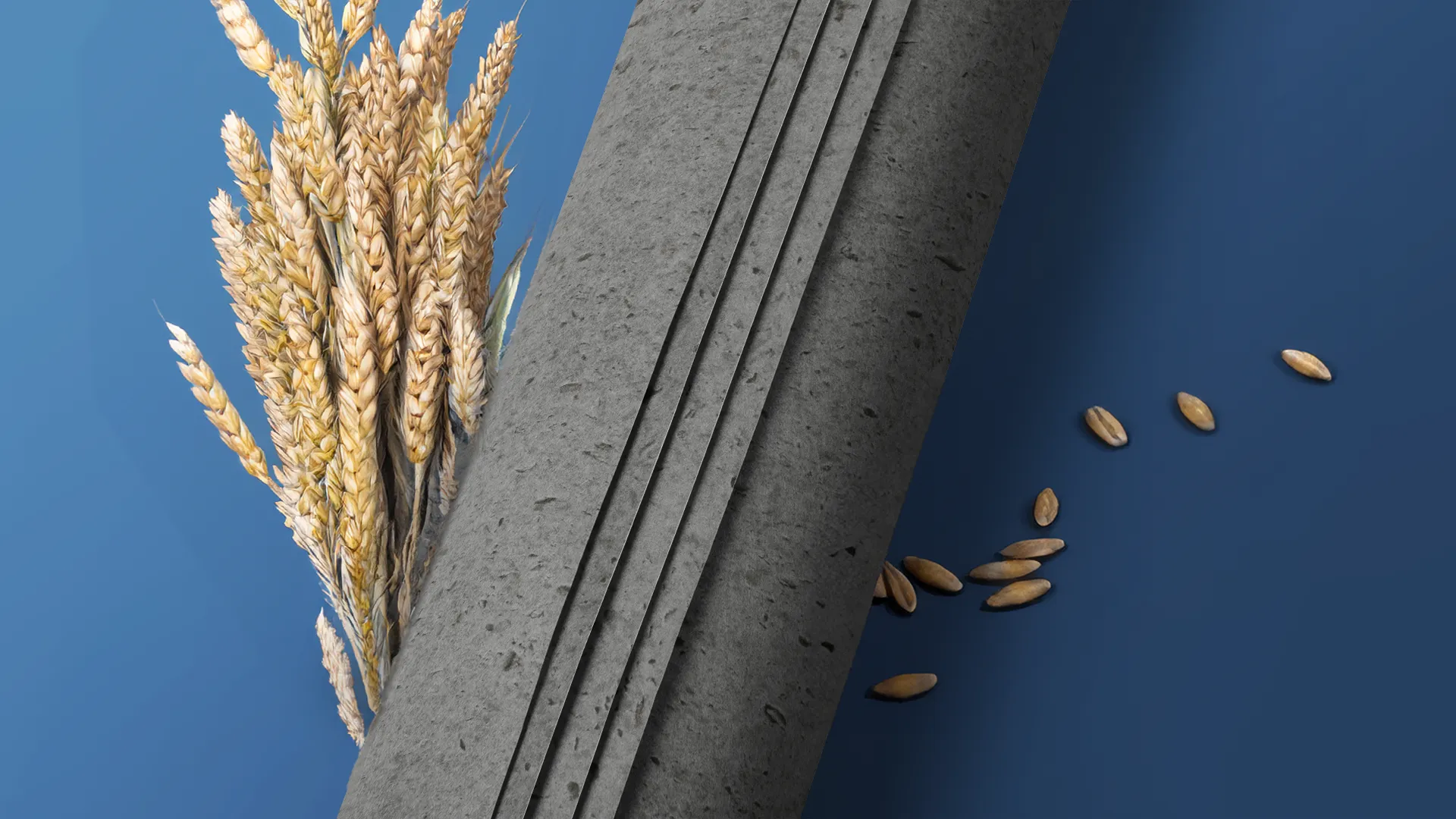 Bluecat’s Elephant Poo Paper | Turning Waste into Art