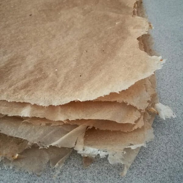 Sustainable Paper vs Recycled Paper. Which is the best paper? - Bluecat ...